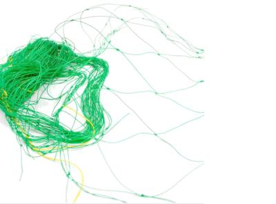 China Red que sube de la planta en venta