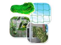 China UV Stabilized PP Plant Climbing Trellis Netting 1m x 10m 150x170mm Mesh for sale