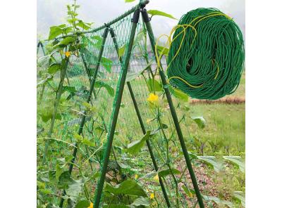 China Red que sube de la planta en venta