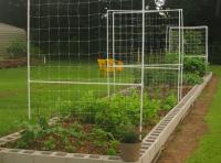 China UV Stabilized Polypropylene Plant Support Netting 100x100mm Mesh 1.5m Width for sale
