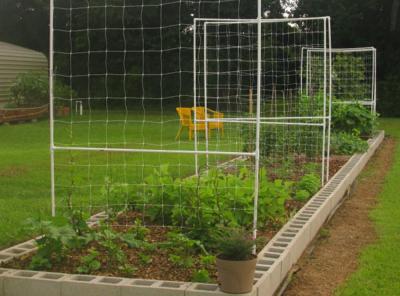China Vegetable Plant Supporting Net for sale