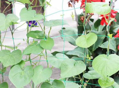 China Vine and Veggie Trellis Netting for sale