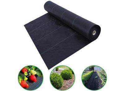 China Plastic Mulch Fabric, Weed-proof Cloth for sale