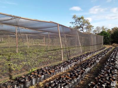 Китай Сеть тени парника продается