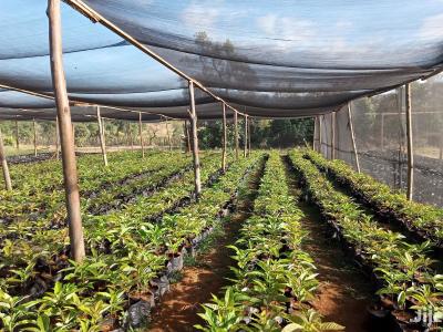 China Red de la sombra del invernadero en venta