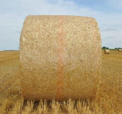 Китай обруч связанного обруча связки чистых/silage сена baler плетения/обруч сена чистый продается