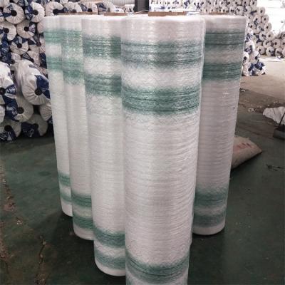 China Malla neta de /agriculture de la malla del PE del precio de fábrica del abrigo neto plástico de la bala en venta