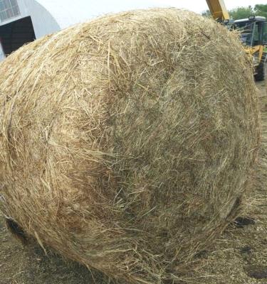 China Abrigo redondo de la red de la bala con retiro fácil y estabilidad ULTRAVIOLETA en venta