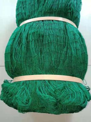 China Philippines Polypropylene Multifilament Net Green Color Fishing Net, Agriculture Net for sale