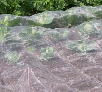 China anti insect repel protection net HDPE 40 50 mesh 45g 60g 70g agricultural insect net for sale
