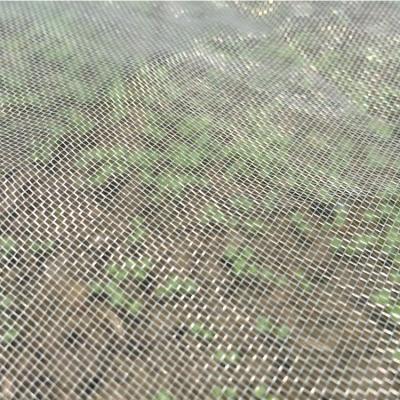 China Al por mayor 40 50 60 Mesh Anti Insect Protect Net en venta