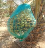 China HDPE Date Palm Mesh Bag with Drawstring 80x100cm UV Protected for sale