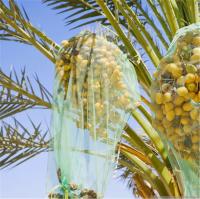 China HDPE Date Palm Mesh Bag with Drawstring 80x100cm UV Protected for sale