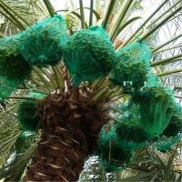 China HDPE Date Palm Mesh Bag with Drawstring 80x100cm UV Protected for sale