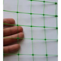 China HDPE Trellis Netting 2m x 100m UV Stabilized for Cucumber Plantation for sale