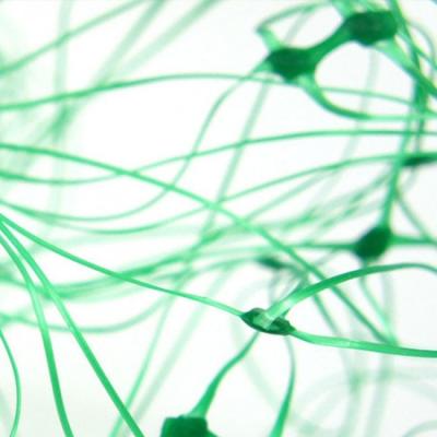 China El panel del enrejado de la red de la ayuda de la planta de la red del enrejado en venta