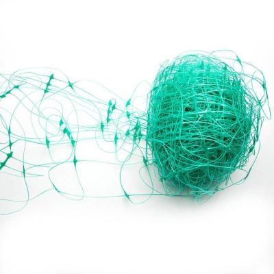 China El panel del enrejado de la red de la ayuda de la planta de la red del enrejado en venta