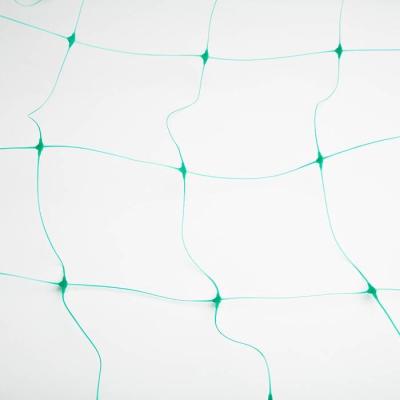 China El subir de la planta y red del enrejado de la planta, red de la ayuda de la planta de la enredadera, color blanco en venta