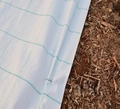 China 100% virgin PP PE black weed control mat anti-grass ground cover in roll for garden greenhouse for sale