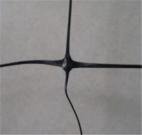China UV Stabilized Pea and Bean Trellis Netting 1m x 50m HDPE Plant Support Mesh for sale