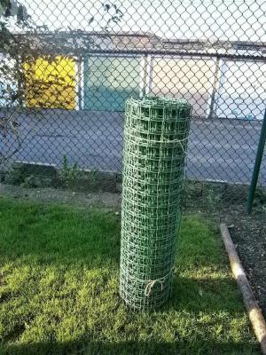 China 4 ft. x 50 ft.PE Orange Plastic Mesh Safety Edge Fence green net for garden for sale