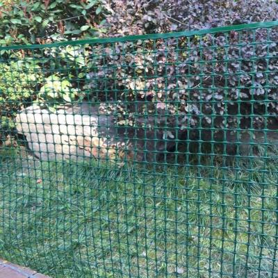 China 4 ft. x 50 ft.PE Orange Plastic Mesh Safety Edge Fence green net for garden for sale
