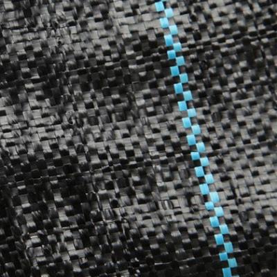 China Weed Control Fabric Membrane with 10 Garden Pegs and Buffer Washer Landscape Weeds Mat Woven Barrier Gardening Farm Gro for sale