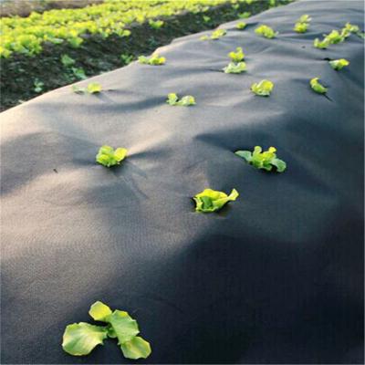 China Premium 5oz Pro Weed Barrier Landscape Fabric Ground Cover Heavy Duty Commercial Anti-Weed Gardening Mat, 4ft x 250ft : for sale