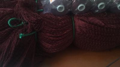 China HDPE Fishing Net, Size: 1x3,4x3 for sale