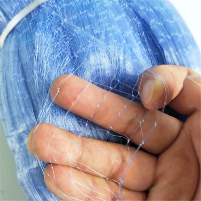 China Red de pesca de nylon del color verde del Sena del multifilamento en venta