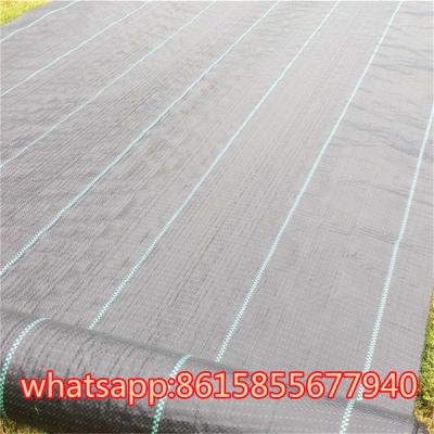 China Landscape Fabric - Weed Barrier Cloth supplier in China for sale