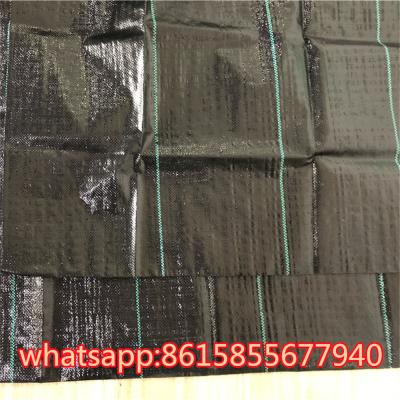 China PP Weed Mat/Anti Weed Mat/Weed Barrier Fabric for sale
