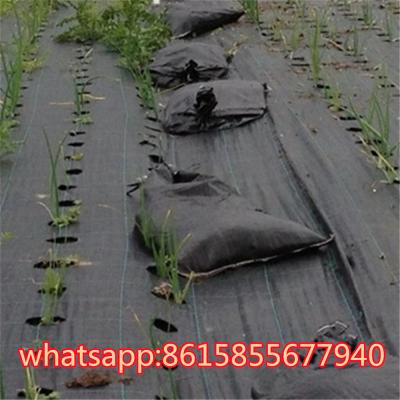 China Landscape Fabric – Weed Barrier Cloth for sale
