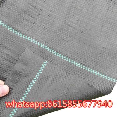 China PP Ground Cover is also called anti grass cloth, weed control fabric, anti weed mat, weed barrier. for sale