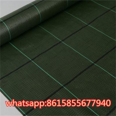 China Black PP woven silt fence weed barrier fabric,3ft x 50ft anti grass agricultural weed control mat,garden ground cover we for sale