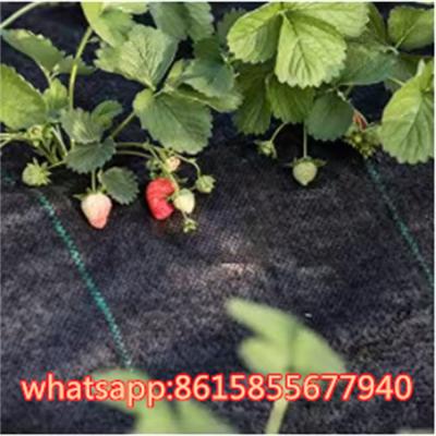 China weed mat to stop grass growing for sale