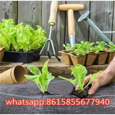 China weed mat to stop grass growing for sale