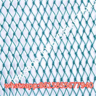 China La malla PE del cuadrado trenzó la red de pesca, red de pesca en venta