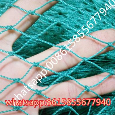 China Torsión de Diamond Mesh PE que pesca la red en venta