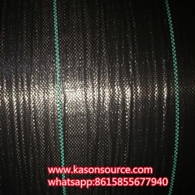 China Agricultural plastic woven ground cover pp weed control mat weed barrier fabric telo pacciamatura landscape fabric for sale