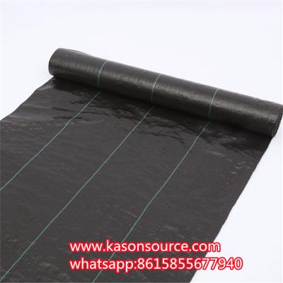 China Horticulture Landscaping fabric/Weed barrier fabric/Plastic Ground Cover Net for sale