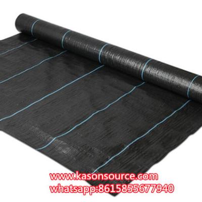 China Manufacture direct PP and scape fabric anti grass cloth for agriculture protection for sale