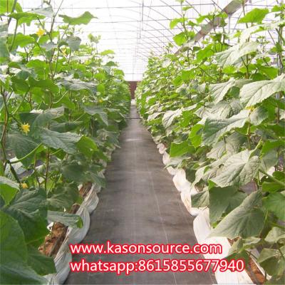 China Weed Control Mat Landscape Garden Fabric Flower Bed Liner Cloth/ground Cover Anti Grass Fabric 70-140gsm for sale