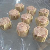 China 300W Siomai Making Machine Tabletop  Chinese Dim Sum Maker Machine for sale