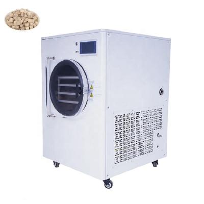 Cina Macchina casalinga 750w di liofilizzazione dell'essiccatore di gelata del pulsometro in vendita
