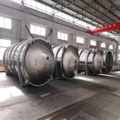 Cina Liofilizzazione di vuoto della macchina dell'essiccatore di gelata di vuoto dell'alimento di SS304 SS316 in vendita