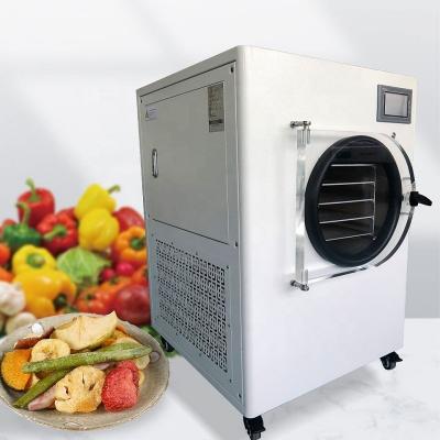 Cina Essiccatore di gelata di vuoto dell'alimento 0.6m2 di acciaio inossidabile della famiglia 220V/50Hz in vendita