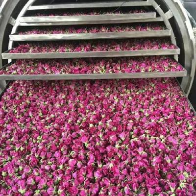 Cina Liofilizzazione di vuoto della macchina dell'essiccatore di gelata di vuoto dell'alimento di SS304 SS316 in vendita