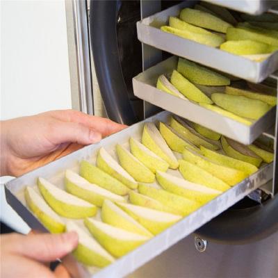 Cina Macchina più asciutta 0.1m2 750W della gelata di vuoto dell'alimento dell'ortaggio da frutto dell'hotel in vendita
