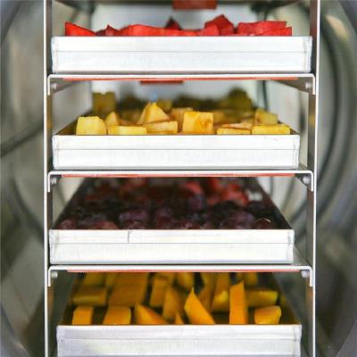 Cina Macchina casalinga 750w di liofilizzazione dell'essiccatore di gelata del pulsometro in vendita